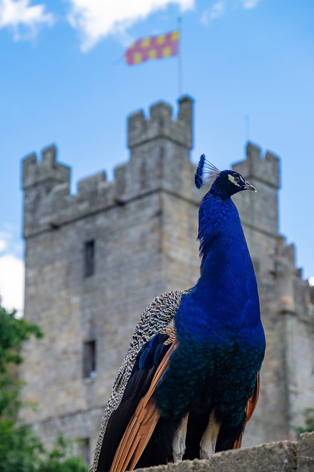 Gallery | LANGLEY CASTLE HOTEL, Hexham