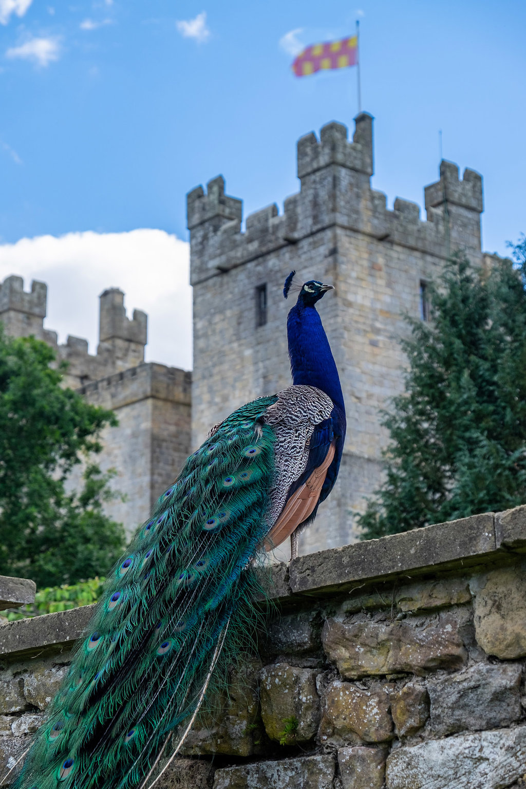 Gallery | LANGLEY CASTLE HOTEL, Hexham